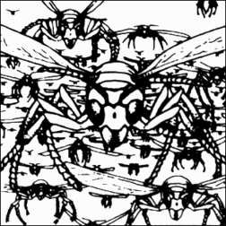 Insects - The Codex of Ultima Wisdom, a wiki for Ultima and Ultima Online