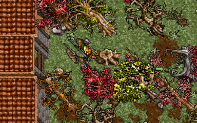 Ultima VII Part Two cheat rooms - The Codex of Ultima Wisdom, a wiki ...