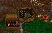Category:Ultima VIII Screenshots - The Codex of Ultima Wisdom, a wiki ...